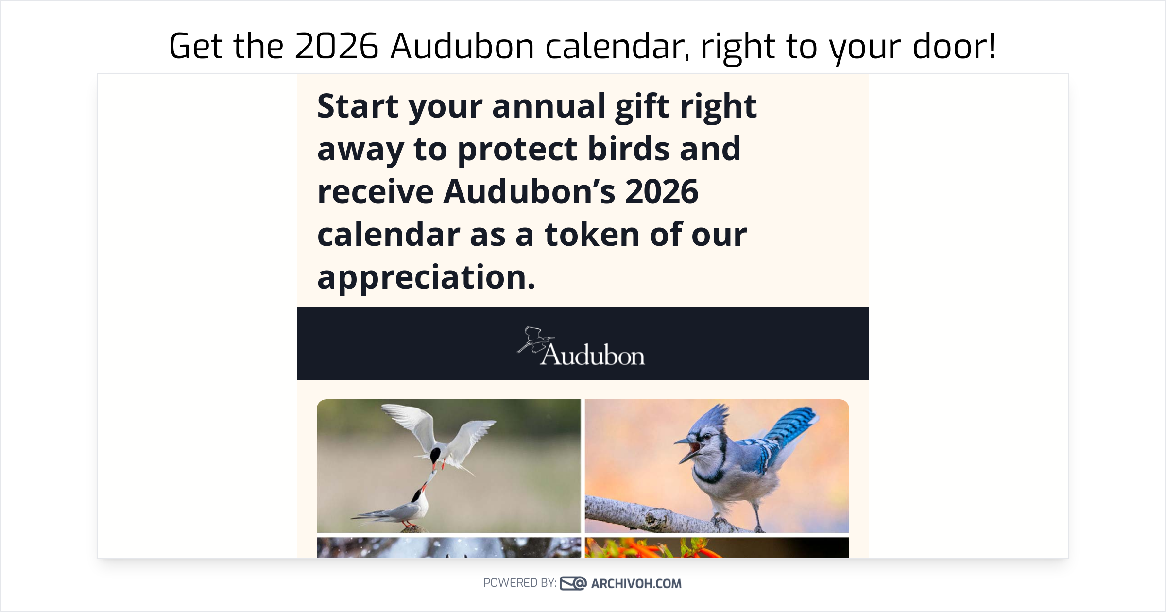 Get the 2026 Audubon calendar, right to your door!
