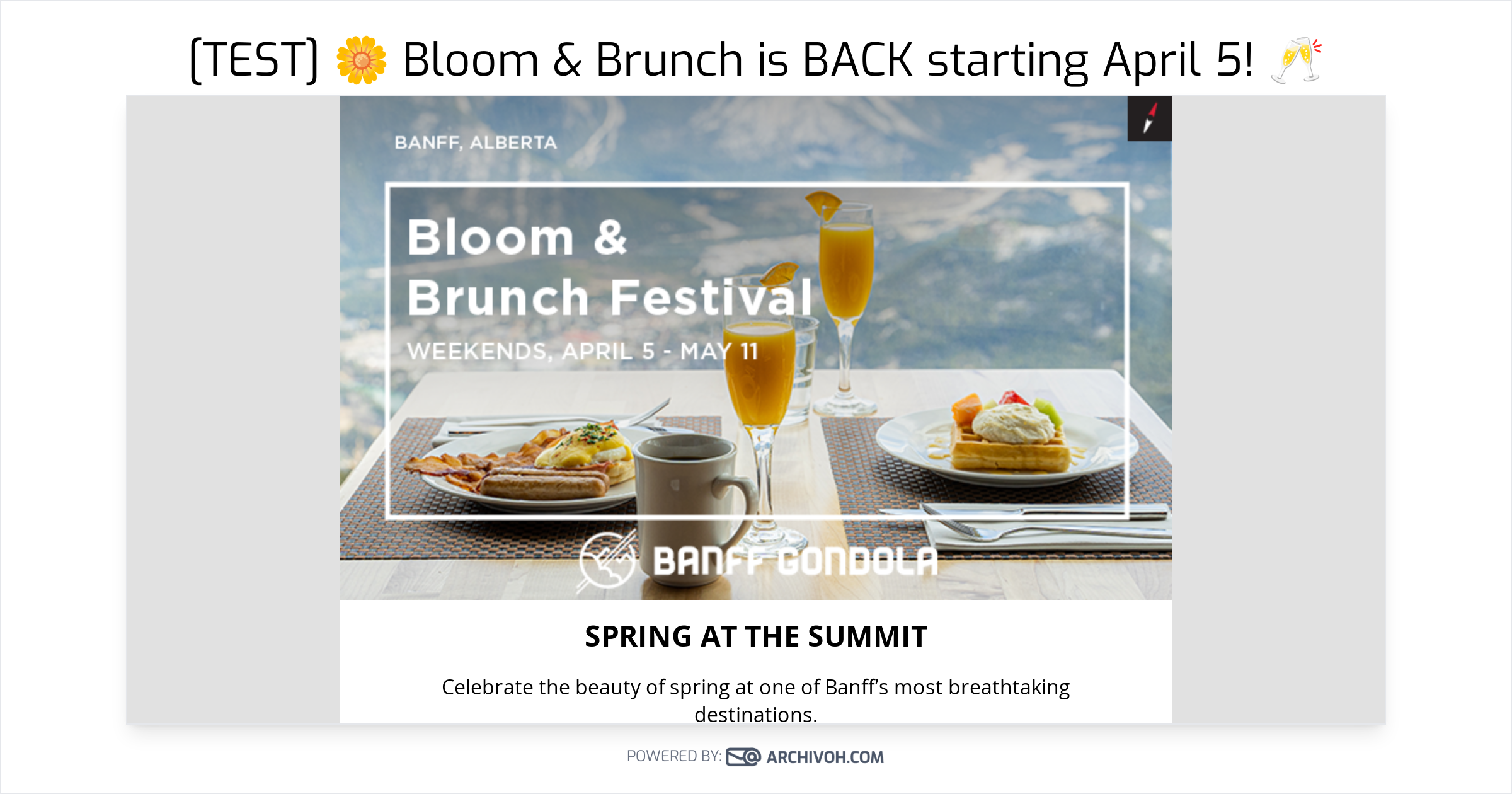 [TEST] 🌼 Bloom & Brunch is BACK starting April 5! 🥂