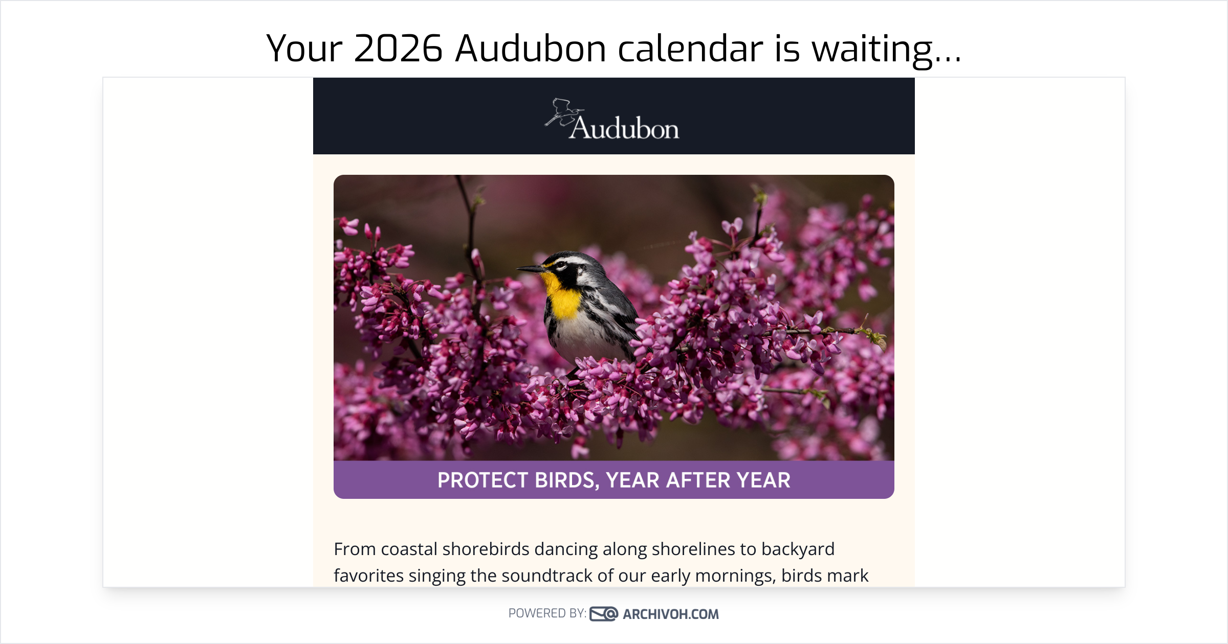 Your 2026 Audubon calendar is waiting…