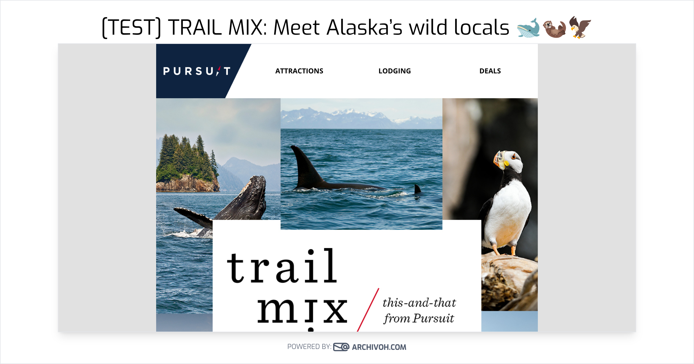 [TEST] TRAIL MIX: Meet Alaska’s wild locals 🐋🦦🦅